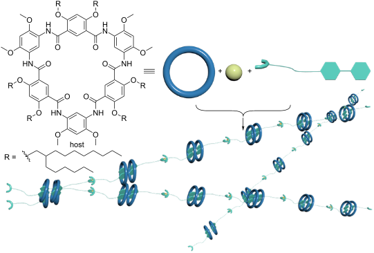 Hydrogen-bonded macrocycle-mediated dimerization for orthogonal ...