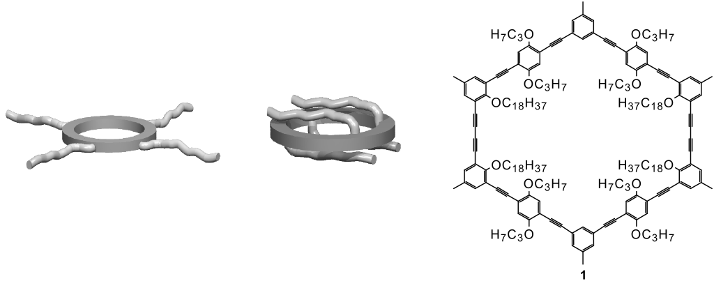BJOC - BJOC - Volume 4 - 2008