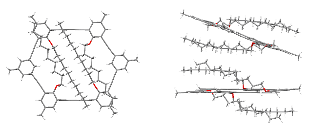 Shape-persistent macrocycle with intraannular alkyl groups: some ...