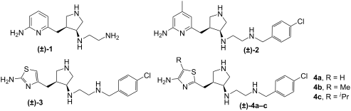 Synthesis and enzymatic evaluation of 2- and 4-aminothiazole-based ...
