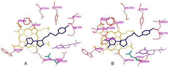Synthesis and enzymatic evaluation of 2- and 4-aminothiazole-based ...
