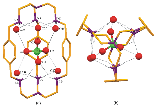 Structural studies on encapsulation of tetrahedral and octahedral ...