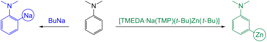 Meta-metallation of N,N-dimethylaniline: Contrasting direct sodium ...