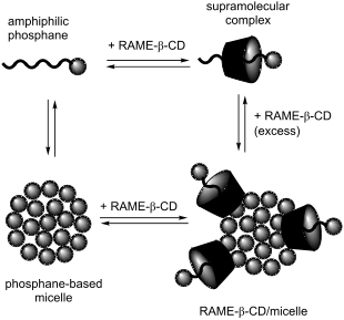 Impact of cyclodextrins on the behavior of amphiphilic ligands in ...