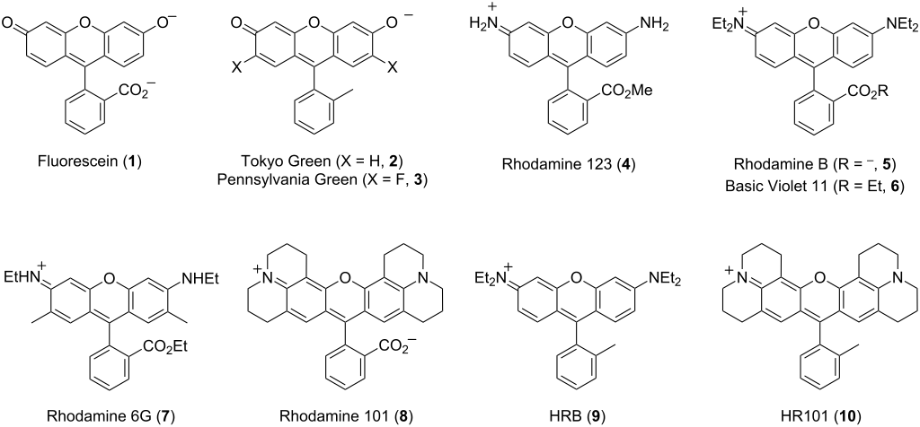 Hydrophobic analogues of rhodamine B and rhodamine 101: potent ...