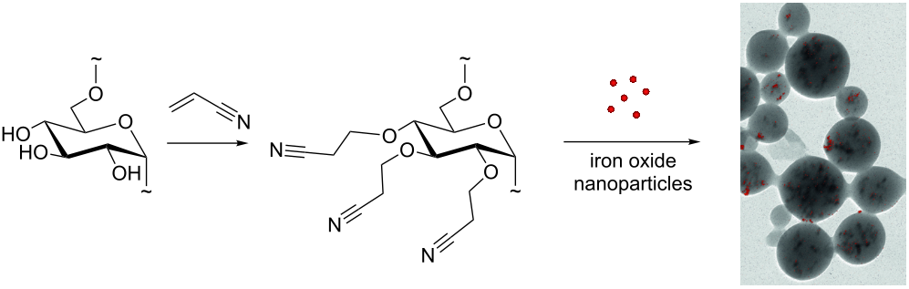 Cyanoethylation of the glucans dextran and pullulan: Substitution ...