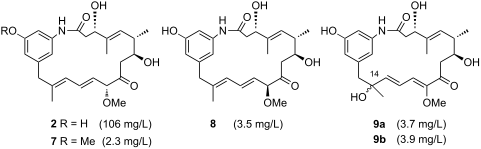 Unprecedented deoxygenation at C-7 of the ansamitocin core during ...