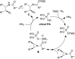 Organocatalyzed enantioselective desymmetrization of aziridines and ...