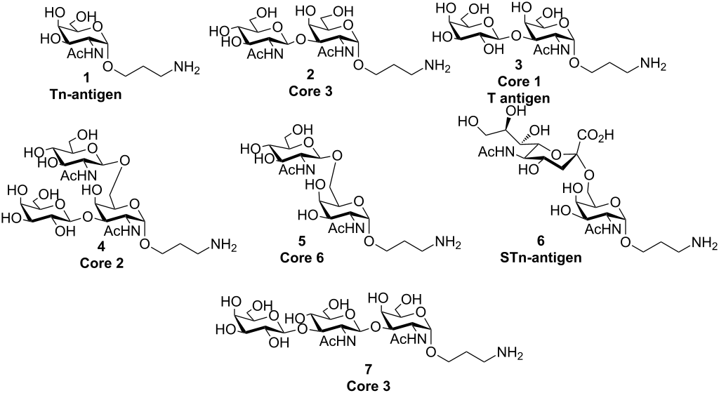Synthesis of mucin-type O-glycan probes as aminopropyl glycosides