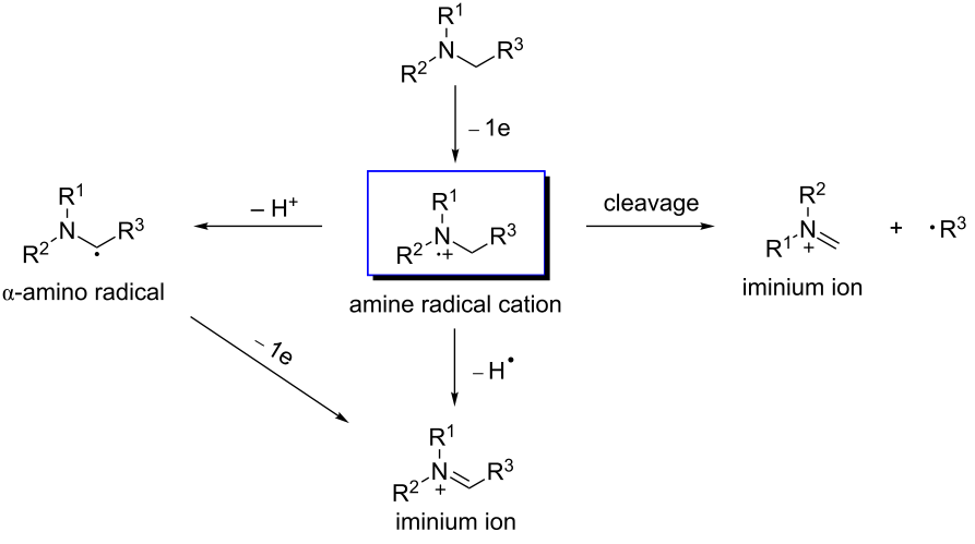 The chemistry of amine radical cations produced by visible light ...
