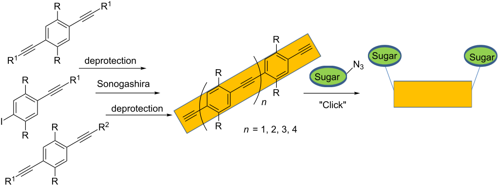 Efficient synthesis of phenylene-ethynylene rods and their use as rigid ...