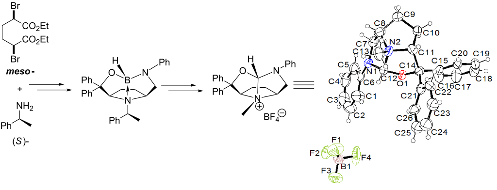 One-pot tandem cyclization of enantiopure asymmetric cis-2,5 ...