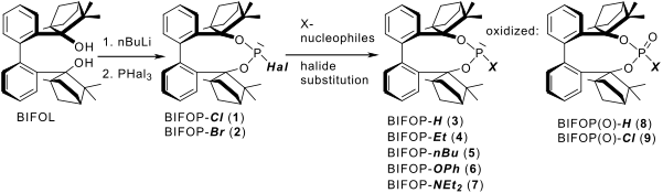 An exceptional P-H phosphonite: Biphenyl-2,2'-bisfenchylchlorophosphite ...