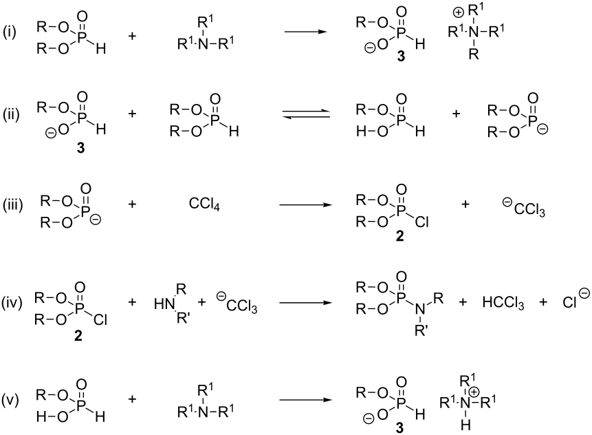 Atherton–Todd reaction: mechanism, scope and applications