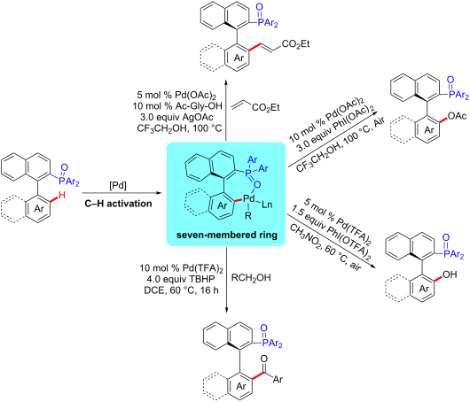 P(O)R2-directed Pd-catalyzed C–H functionalization of biaryl ...