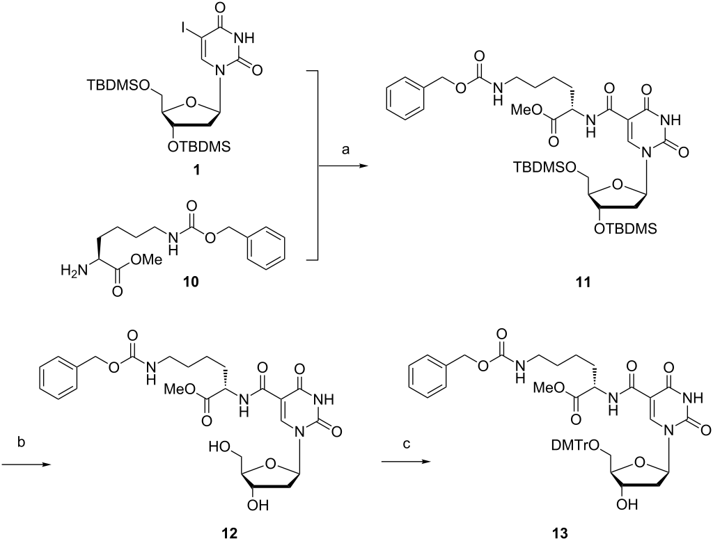 Versatile synthesis of amino acid functionalized nucleosides via a ...