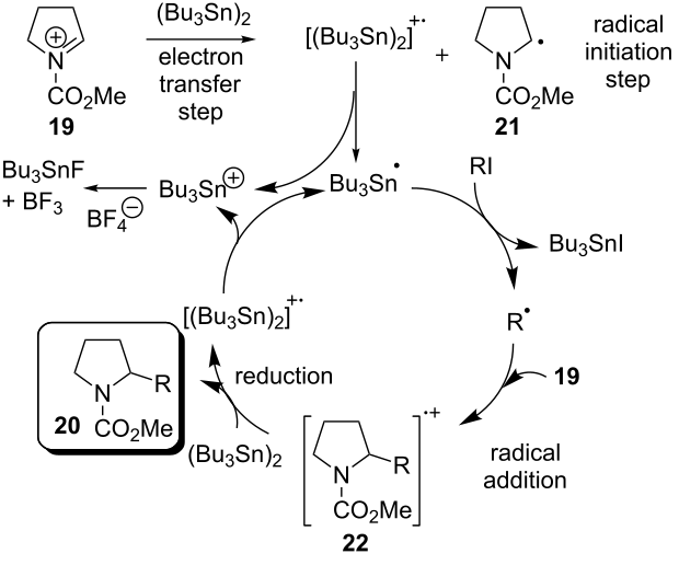 The Shono-type electroorganic oxidation of unfunctionalised amides ...