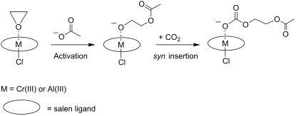 Surprisingly facile CO2 insertion into cobalt alkoxide bonds: A ...