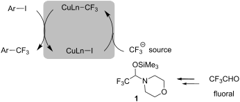 Carbon–carbon bond cleavage for Cu-mediated aromatic ...