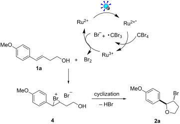 Visible-light-induced bromoetherification of alkenols for the synthesis ...