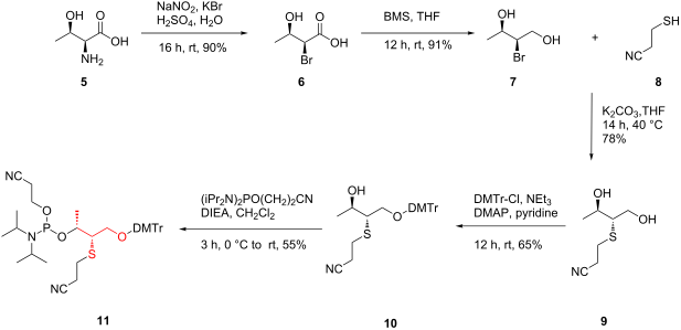 DNA functionalization by dynamic chemistry