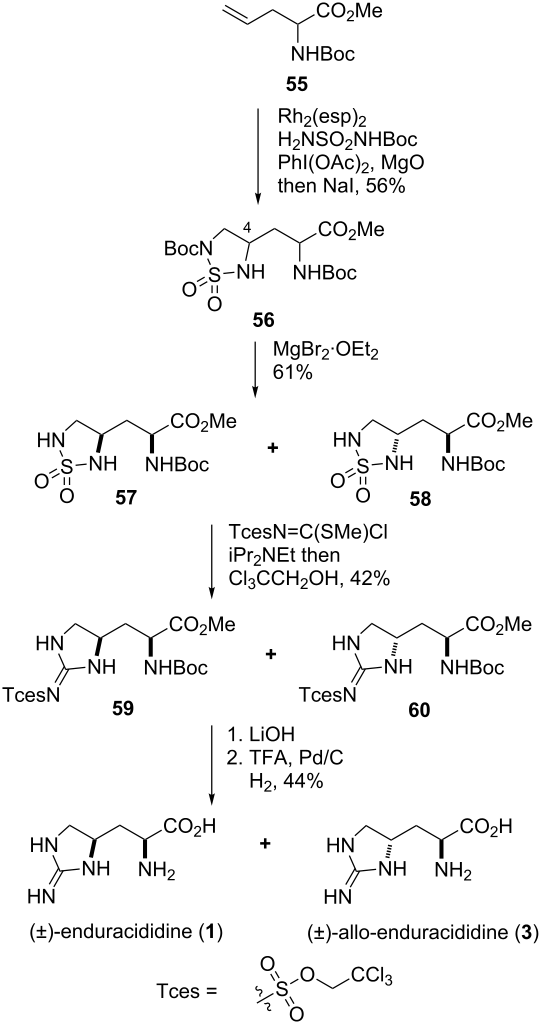 Enduracididine, a rare amino acid component of peptide antibiotics ...