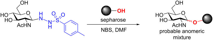 Strategies toward protecting group-free glycosylation through selective ...