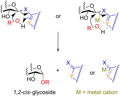 Strategies toward protecting group-free glycosylation through selective ...