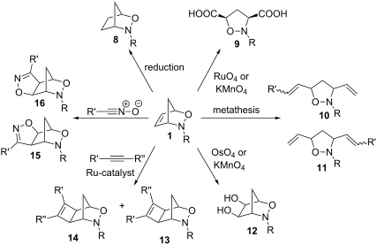 Acid-catalyzed ring-opening reactions of a cyclopropanated 3-aza-2 ...
