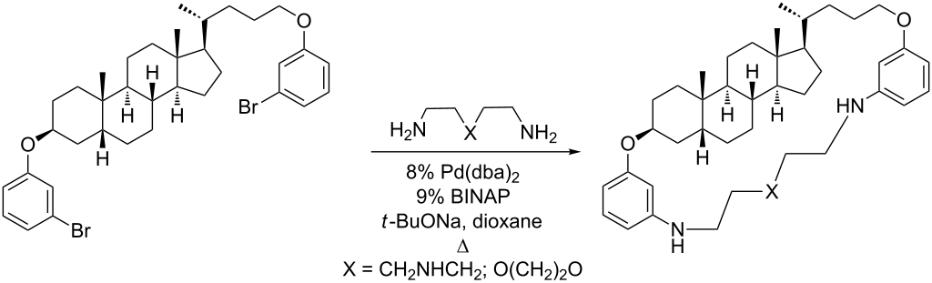Pd- and Cu-catalyzed approaches in the syntheses of new cholane ...
