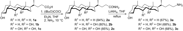 Pd- and Cu-catalyzed approaches in the syntheses of new cholane ...