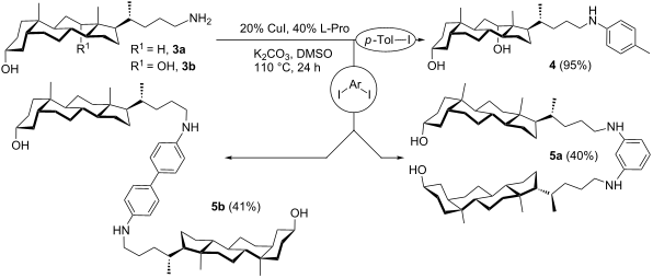 Pd- and Cu-catalyzed approaches in the syntheses of new cholane ...