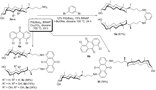 Pd- and Cu-catalyzed approaches in the syntheses of new cholane ...