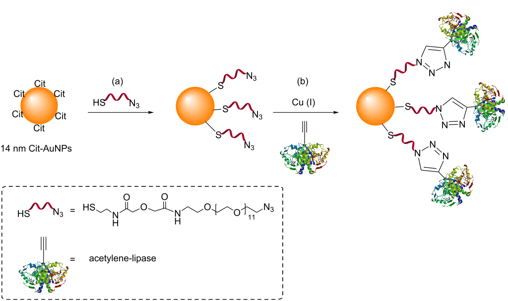 BJOC - BJOC - Volume 14 - 2018