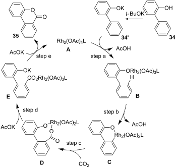 Cobalt- and rhodium-catalyzed carboxylation using carbon dioxide as the ...