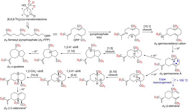 Analysis of sesquiterpene hydrocarbons in grape berry exocarp (Vitis ...