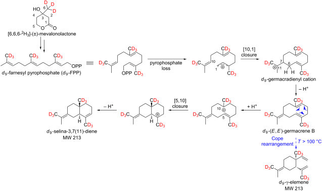 Analysis of sesquiterpene hydrocarbons in grape berry exocarp (Vitis ...