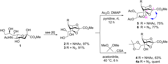 SnCl4-catalyzed solvent-free acetolysis of 2,7-anhydrosialic acid ...