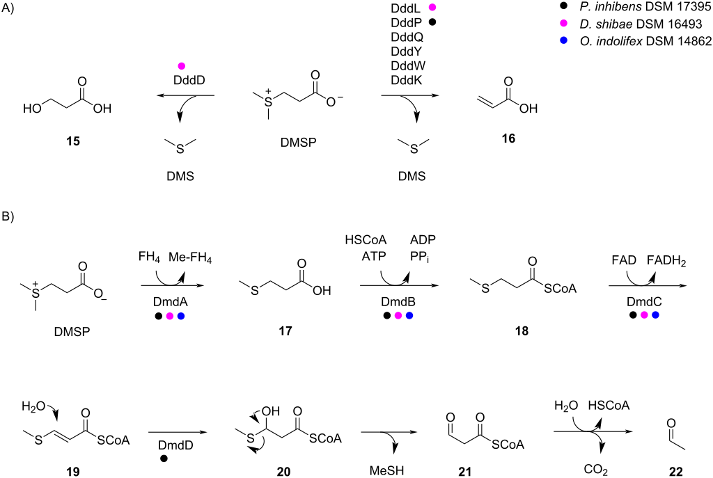 BJOC - BJOC - Chemical ecology