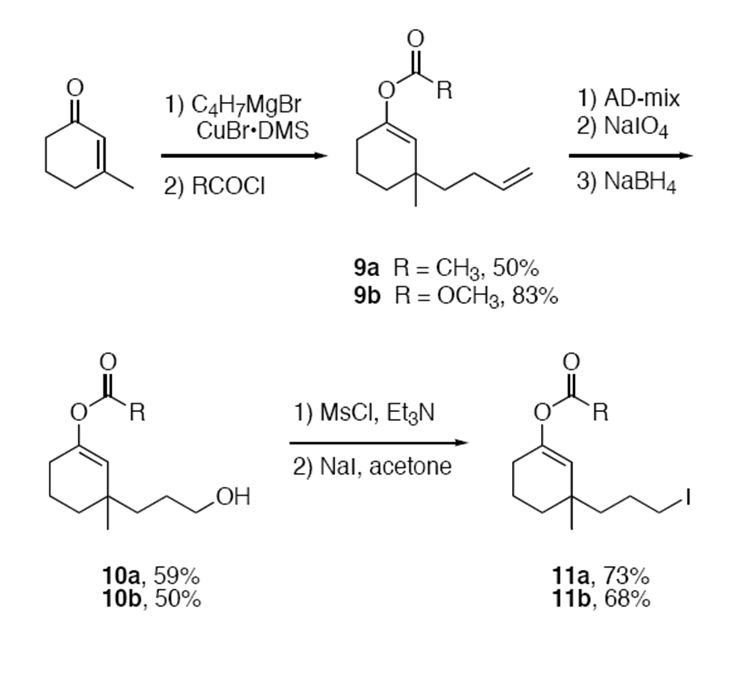 Do α-acyloxy and α-alkoxycarbonyloxy radicals fragment to form acyl and ...