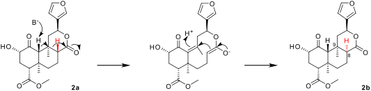8-epi-Salvinorin B: crystal structure and affinity at the κ opioid receptor