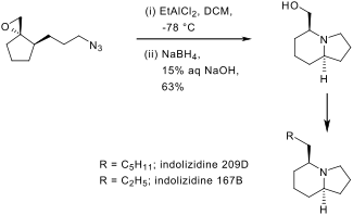 Synthesis of crispine A analogues via an intramolecular Schmidt reaction