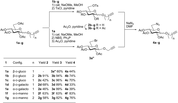 Dimerization of propargyl and homopropargyl 6-azido-6-deoxy-glycosides ...