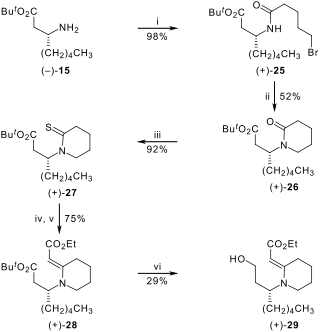 Analogues of amphibian alkaloids: total synthesis of (5R,8S,8aS)-(−)-8 ...