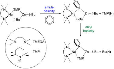 Meta-metallation of N,N-dimethylaniline: Contrasting direct sodium ...