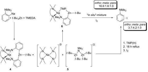 Meta-metallation of N,N-dimethylaniline: Contrasting direct sodium ...
