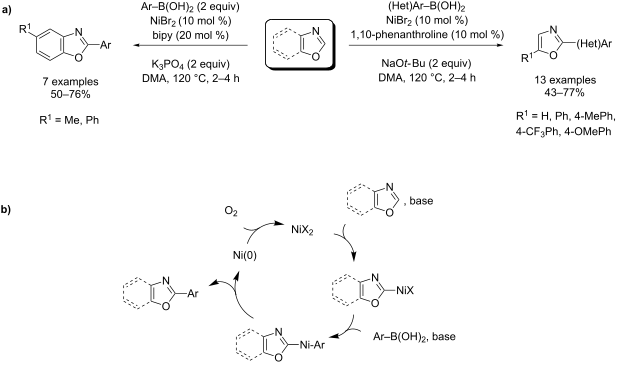 Recent advances in direct C–H arylation: Methodology, selectivity and ...