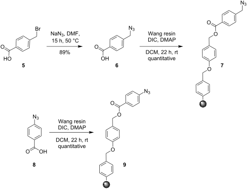 Parallel solid-phase synthesis of diaryltriazoles