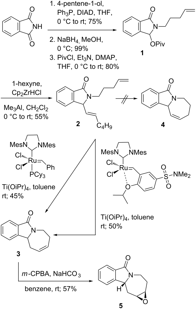 Synthesis of a library of tricyclic azepinoisoindolinones
