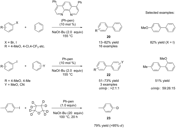 Organocatalytic C–H activation reactions